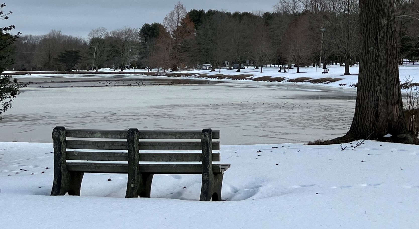 Code Enforcement - Colts Neck Township