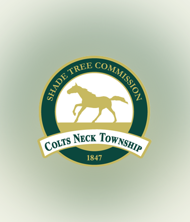 Shade Tree Commission - Spotted Lantern Fly Trap Workshop - Colts Neck ...